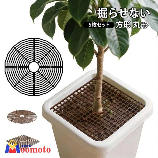 商品名:土壌保護 観葉植物 盆栽 ペットいたずら防止 5枚セット 植木鉢グリッド 犬 掘り防止 猫 屋内屋外 通気性 丸形 植木鉢カバー フラワープロテクター 屋内植物用 正方形 自由に裁断可能 園芸用品 鉢用 植木鉢グリッド 家庭菜園  ...