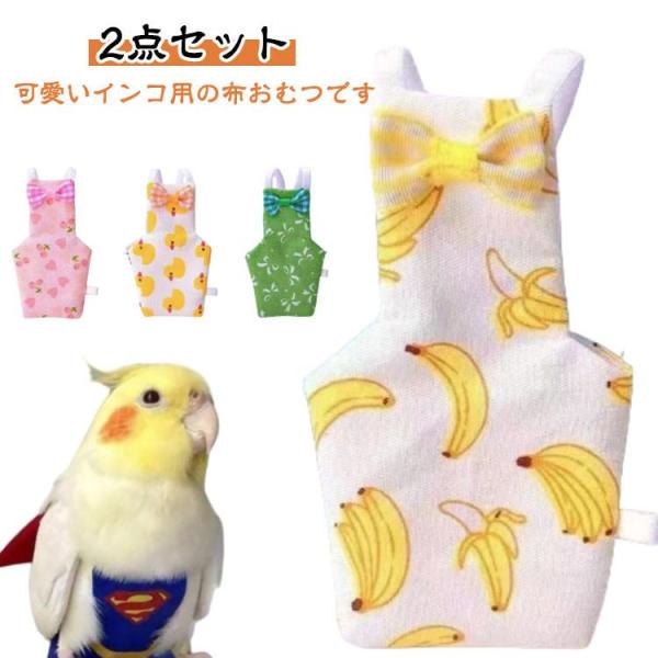 セキセイインコ-S　オカメインコ-M　ボタンインコ-M　コガネメキシコインコ-M　オカメインコ-L　オキナインコ-L