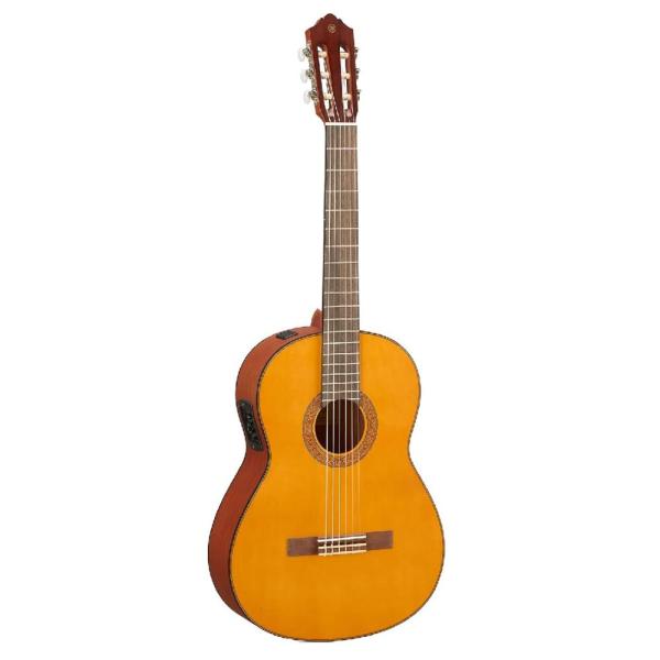 ノンカッタウェイボディを採用したエレクトリッククラシカルギターで、クラシックギター愛好者にも弾きやすい設計。スプルース単板表板とナトー製裏・側板により豊かな生音を実現し、3バンドEQやチューナーを搭載したSystem73でライン出力も簡単で...