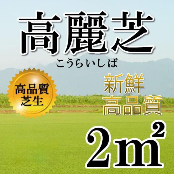 芝生 高麗芝サイズ：30cmｘ37.1cmが18枚＝2平米(約0.6坪)重量：約30キロ(2束)特長：芝生の定番品種、姫高麗芝よりも幅広の葉梱包箱に、芝を2束入れてお届けします。以下のような梱包になります。┌─┐│芝│├　┤│芝│└─┘【発...