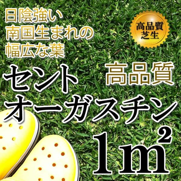 セントオーガスチンサイズ：30cmｘ37.1cmが9枚＝1平米(約0.3坪)重量：約10キロ(1束)特長：耐陰性が高く日当たりの悪いお庭におススメ幅広な葉とアレロパシー効果で雑草抑制段ボール箱に、芝生を1束入れてお届けします。以下のような梱...