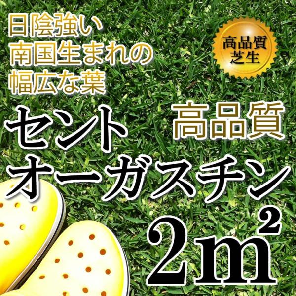 セントオーガスチンサイズ：30cmｘ37.1cmが18枚＝2平米(約0.6坪)重量：約30キロ(2束)特長：耐陰性が高く日当たりの悪いお庭におススメ幅広な葉とアレロパシー効果で雑草抑制段ボール箱に、芝生を2束入れてお届けします。┌─┐│芝│...