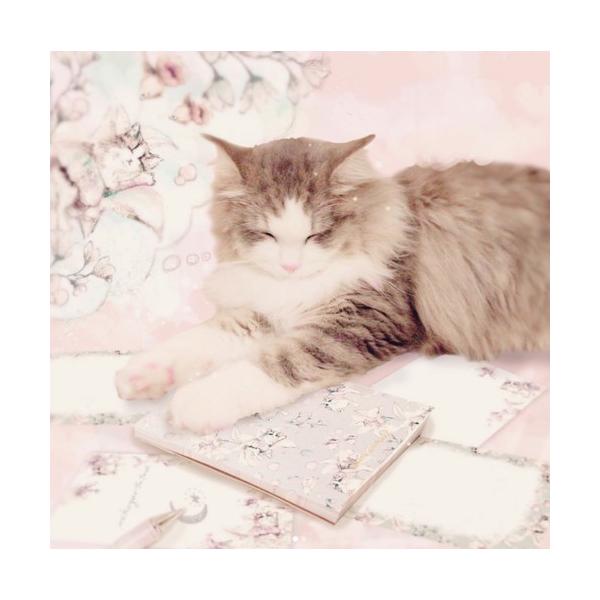 ネコたちが夢の中で思い描いたのはどんな世界？　「ashita donnahi? シリーズ」のメモパッドです。猫と花柄の大人っぽいデザインで表紙にはさりげなくゴールドの箔押しも。中の柄は2種類あるので、気分によって使い分けてくださいね。ギフト...