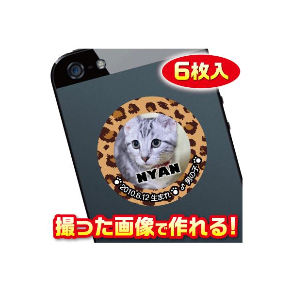 猫の名札に。自分で撮った愛猫の画像から作れて、名前やプロフィールも入れられるオーダーメイドステッカー。愛猫のオリジナルステッカーが簡単に作れます。スマホ用に最適なサイズなので人気です。　●猫用プロフィール入りオーダーメイドステッカー/シール...