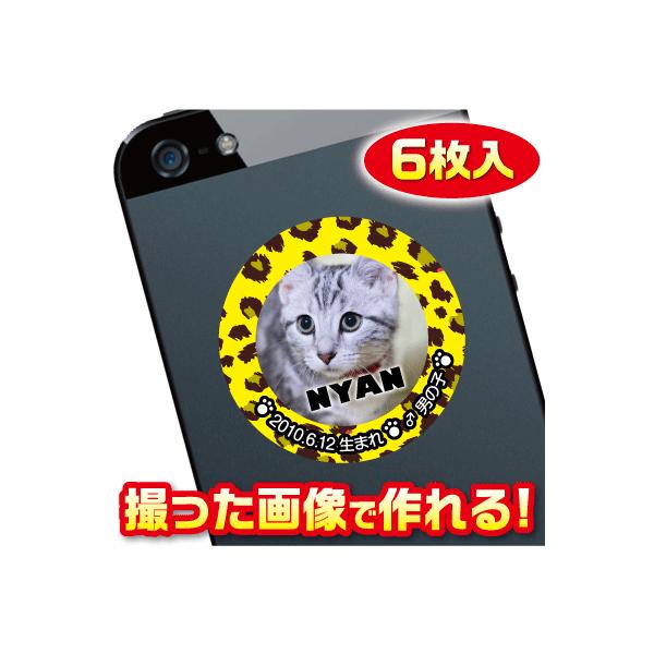 猫の名札に。自分で撮った愛猫の画像から作れて、名前やプロフィールも入れられるオーダーメイドステッカー。愛猫のオリジナルステッカーが簡単に作れます。スマホ用に最適なサイズなので人気です。　●猫用プロフィール入りオーダーメイドステッカー/シール...