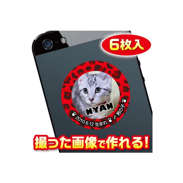 猫の名札に。自分で撮った愛猫の画像から作れて、名前やプロフィールも入れられるオーダーメイドステッカー。愛猫のオリジナルステッカーが簡単に作れます。スマホ用に最適なサイズなので人気です。　●猫用プロフィール入りオーダーメイドステッカー/シール...