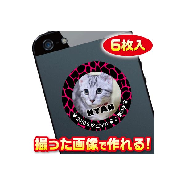 猫の名札に。自分で撮った愛猫の画像から作れて、名前やプロフィールも入れられるオーダーメイドステッカー。愛猫のオリジナルステッカーが簡単に作れます。スマホ用に最適なサイズなので人気です。　●猫用プロフィール入りオーダーメイドステッカー/シール...