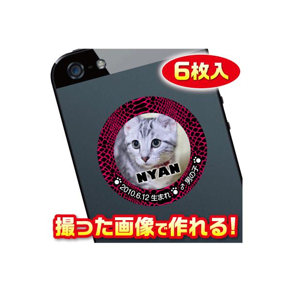 猫の名札に。自分で撮った愛猫の画像から作れて、名前やプロフィールも入れられるオーダーメイドステッカー。愛猫のオリジナルステッカーが簡単に作れます。スマホ用に最適なサイズなので人気です。　●猫用プロフィール入りオーダーメイドステッカー/シール...