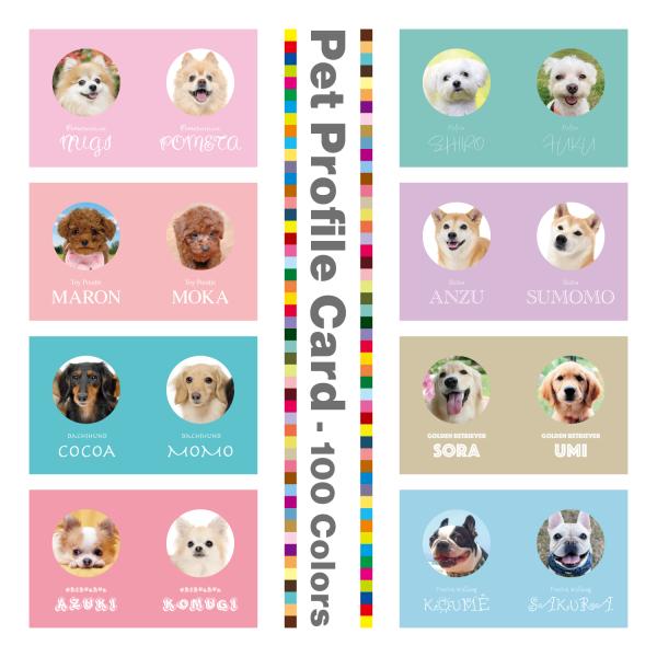 ペットの名刺ってあると便利ですよね♪シンプルでかわいいデザインの名刺があまり無いなと思いましたので、作ってみました♪とにかくペットのお写真が引き立つ様にシンプルで可愛いデザインにこだわりましたので、皆様に気に入って頂けるかと思います♪(^....