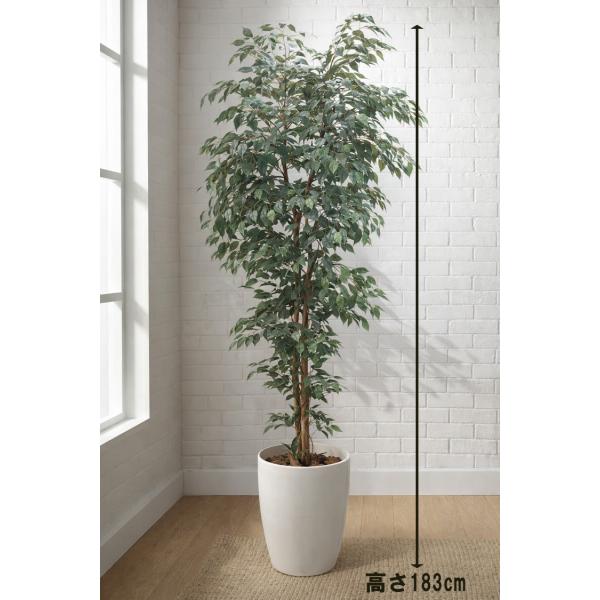 商品コード：EJ-01133サイズ：幅800mm×奥行き800mm×高さ1830mm(多少の誤差はご了承ください)鉢のサイズ：幅300mm×奥行き300mm×高さ310mmオフィスパートナーでは、埼玉県戸田市店舗にて展示販売をおこなっており...