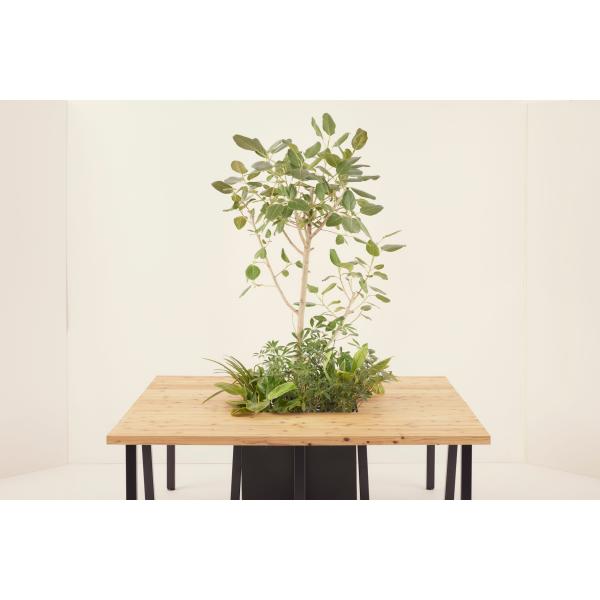 キイノクス 植栽テーブル Green Pit KIINNOX 1800×1800STGP-1818（Green Pit）幅1800mm × 奥行1800mm × 高さ720mm（8人掛け）
