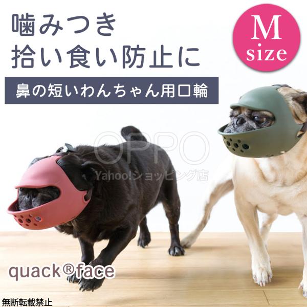 ■商品説明お鼻の短いワンちゃん、猫ちゃん用噛みつきや拾い食いを抑制することができます。ソフトな付け心地で、頭周りをぴったり包み込みます。金属金具を使用していないため、金属疲労による破損や錆びの心配がありません。装着時に愛犬や愛猫の顔の表情が...
