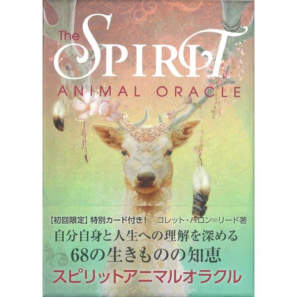 【発売日：2019年07月22日】■商品仕様・内容：カード68枚、日本語版ガイドブック(235ページ)・ボックスサイズ：H 135 × W 100 × D 490[mm]・カードサイズ：H127 × W89 [mm]・著者：コレット・バロン...