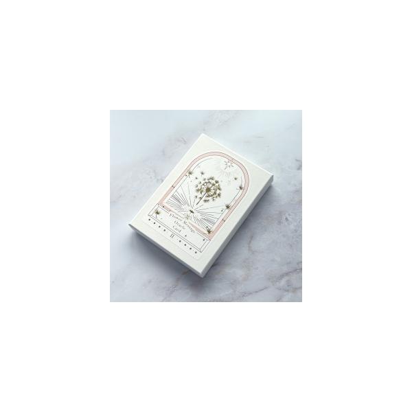 【発売日：2024年12月23日】"■商品仕様内容：カード41枚(41種)、日本語・英語・韓国語・中国語解説書付き(36ページ)、ガイドブックダウンロードQRコード同梱パッケージサイズ：H157×W114×D20[mm]カードサイズ：H12...