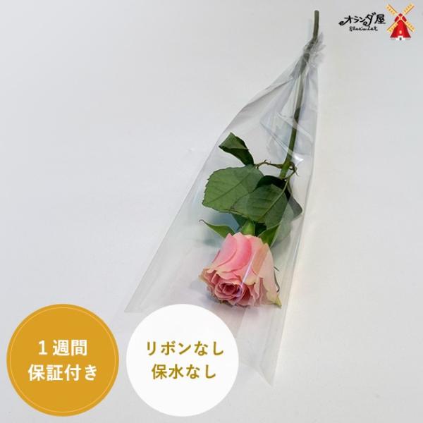 数量欄にご希望の本数をご入力ください。10本以上からのお届けとさせていただきます。バラ1本ごとにセロファンでまいてます。１本ずつの保水はしていません。（出荷の際には、まとめての保水はしてあります。）結婚式や卒業式、入学式、イベントでのプチギ...