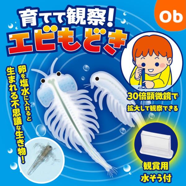 ●不思議な生き物を育てよう！●卵を塩水に入れると生まれる不思議な生き物を育てて観察するキットです。「生きた化石」とも呼ばれるエビもどきは、アルテミアという世界各地の内陸の塩水湖に生息する小型の甲殻類のことです。観賞用の水槽付きなので、すぐに...