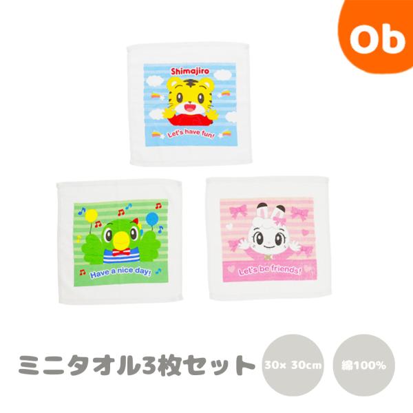 遠足やレジャーにも大活躍なおしぼりタオルのセットです。手触りもよく吸水性も抜群。■サイズ：約300×300mm（3枚組）■素材：コットン（制菌加工）規格■素材・成分：■素材：コットン（制菌加工）