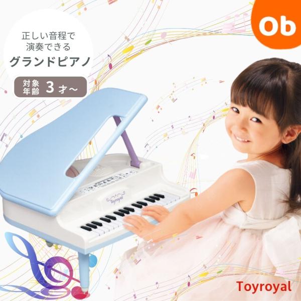 オシャレなピアノですてきな発表会！◆32鍵盤、8和音機能搭載、正しい音程で演奏できる本格派のピアノです。◆デモ演奏やワンキープレーのメロディは19曲を収録。◆楽器音を変えての演奏も楽しめます。シリーズ名：Toy royalメーカー型番：49...