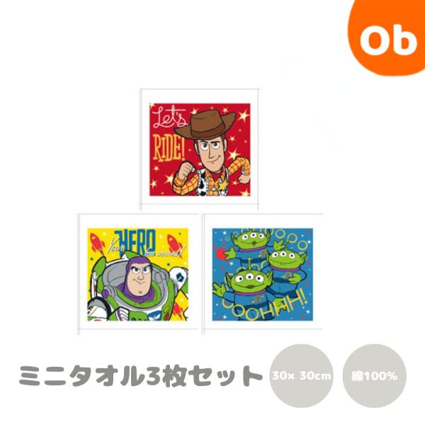 遠足やレジャーにも大活躍なおしぼりタオルのセットです。手触りもよく吸水性も抜群。■サイズ：約300×300mm（3枚組）■素材：コットン（制菌加工）規格■素材・成分：■素材：コットン（制菌加工）