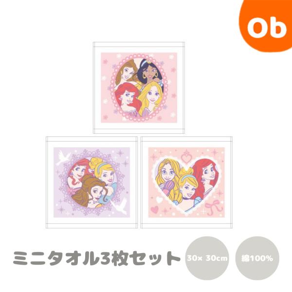 遠足やレジャーにも大活躍なおしぼりタオルのセットです。手触りもよく吸水性も抜群。■サイズ：約300×300mm（3枚組）■素材：コットン（制菌加工）規格■素材・成分：■素材：コットン（制菌加工）