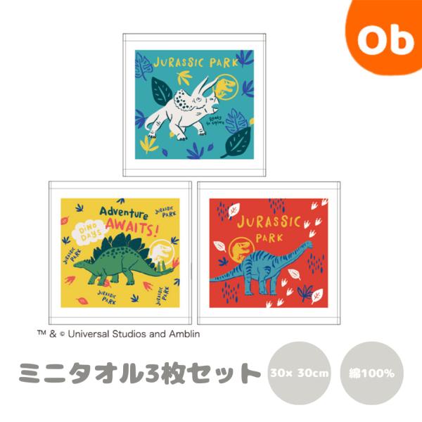 遠足やレジャーにも大活躍なおしぼりタオルのセットです。手触りもよく吸水性も抜群。■サイズ：約300×300mm（3枚組）■素材：コットン（制菌加工）規格■素材・成分：■素材：コットン（制菌加工）