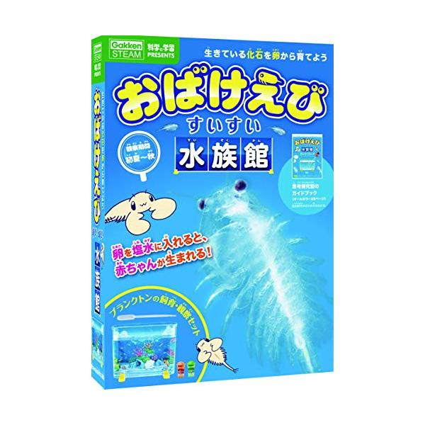 おばけえび水族館6歳以上/6歳以上/J750683・おばけみたいなかわいい姿のプランクトンを飼育・観察できるキット。・乾燥卵を塩水に入れると2日で赤ちゃんが生まれ、20日ほどで親になって卵を産みます。・付属のガイドブックで生態をくわしく解説...