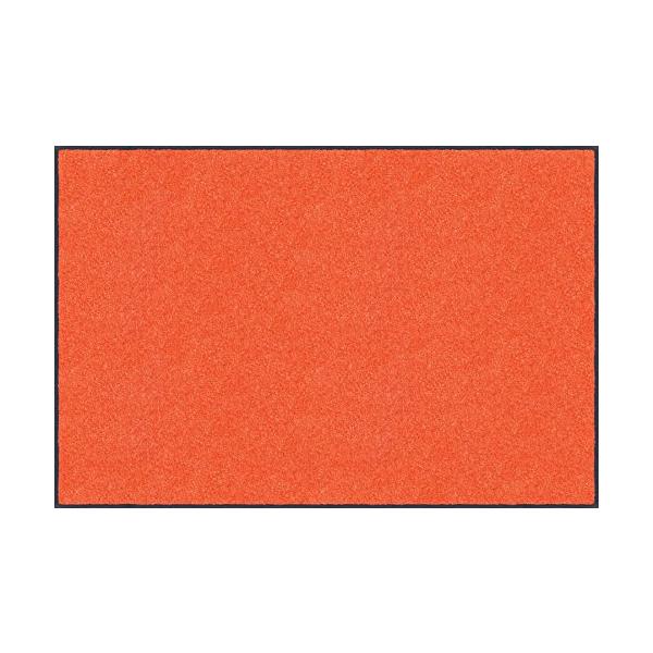 スタンダードオレンジ/75 x 90 cm (長方形)/AM00040・Size:75 x 90 cm (長方形)Color:オレンジ・パッケージ個数:1・【機能】除塵・泥落とし・吸水性能に優れた万能タイプの玄関マット。1m2あたり約4リッ...