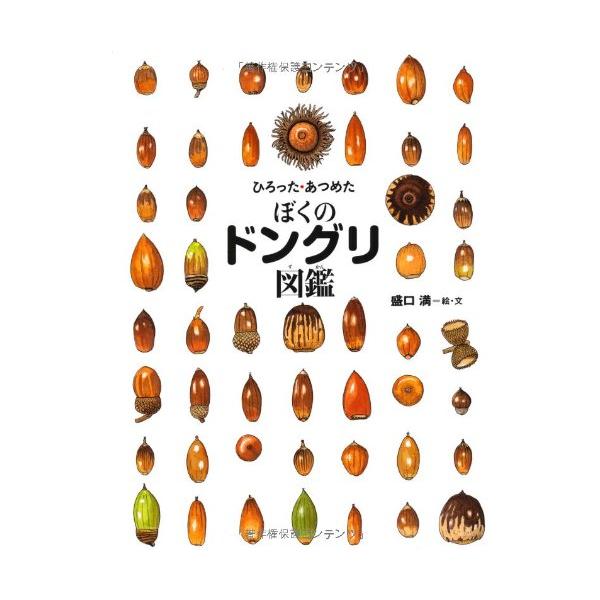 子どもたちに最も身近な木の実ドングリ。ゲッチョ先生が日本全国そして海外で集めたドングリを一挙公開します! ドングリをひろってきたら、よく見てみよう。たとえ種類が同じでも、ドングリはひとつひとつみなちがう。だから、ひとつひとつが宝物だ。普通の...