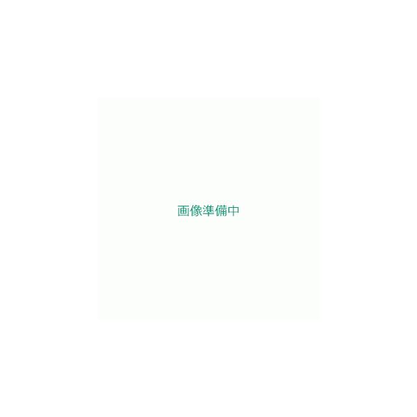 [特長]●特殊なボディ設計で高い防振効果によりびびりを抑制します。●経済的な高耐久性4コーナインサートを採用しています。[仕様]●材種：CK010