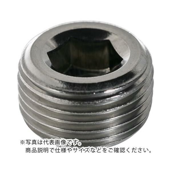 [特長]●配管用止め栓です。●沈みタイプのプラグです。[仕様]●呼び寸法：PT1/2●二面幅B(mm)：10●六角穴深さ(mm)：6●長さt(mm)：12.5±0.4●m(mm)：6.0●パッケージ：ボルトンパック（ブリスター）[材質／仕上...