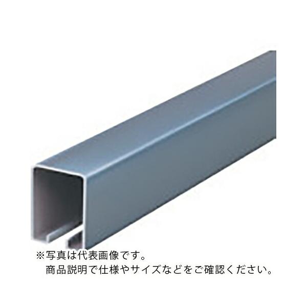 [特長]●ウレタン樹脂塗料をレールの内外に被覆しており強力な密着性とシルバーグレーの落ち着いた美しい色調に仕上げています。[仕様]●全長(mm)：2730●板厚(mm)：1.6●A(mm)：57●B(mm)：47●C(mm)：6●D(mm)...