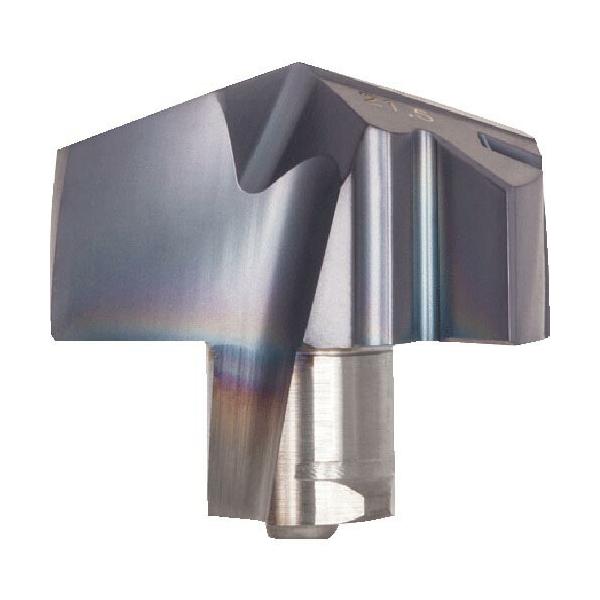 [特長]●操作性に優れたヘッド交換式ドリルです。[用途]●被削材：鋼、ステンレス鋼、鋳鉄、難削材。[仕様]●先端交換式ドリルDRILL MEISTER用ヘッド●工具径(DC):24.2[材質／仕上]●本体:超硬合金