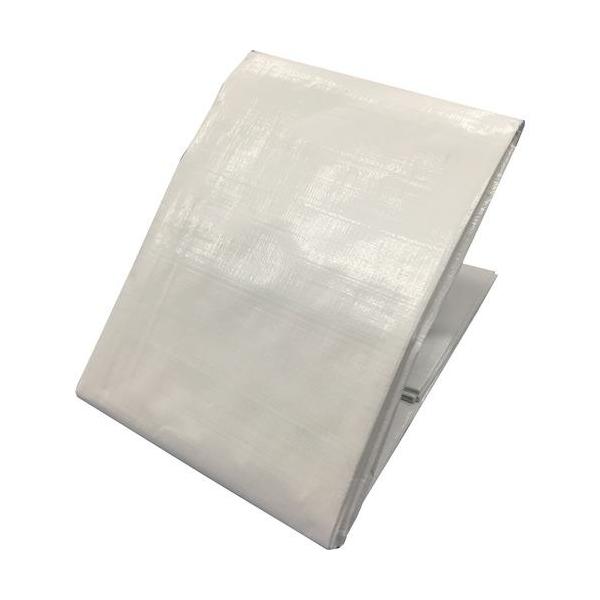 [特長]●清潔感のあるホワイトで景観を損なわない厚手の作業用シートです。[仕様]●色：ホワイト●幅(m)：1.7●長さ(m)：1.7●厚さ(mm)：0.22●番手(#)：3000●ハトメ数(個)：8●ハトメピッチ(cm)：90●耐久期間：約...