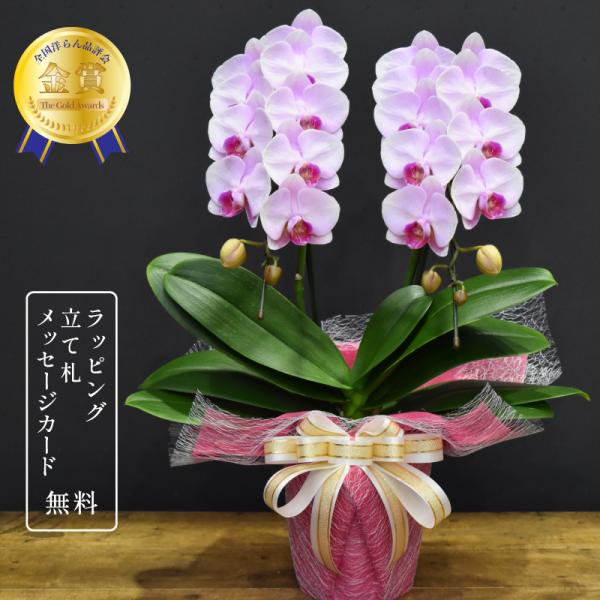 ※この商品は5月1日以降の発送となります。胡蝶蘭モモ2本立ち【全国洋らん品評会金賞受賞胡蝶蘭】・高さ：60センチ前後・幅：27センチ前後・花弁直径：8センチ前後暖かみのあるピンクで優しいイメージの胡蝶蘭です。・ラッピング、メッセージカードを...