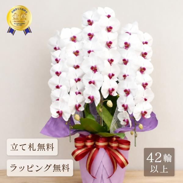 胡蝶蘭スノーキッスエクセレント3本立ちお祝いの場に相応しい紅白大輪胡蝶蘭。誕生日プレゼント等、お祝いのお花としてご利用ください。・ラッピング・立て札・メッセージカード 無料で対応いたします。【 送料 】一部地域を除き送料無料別途送料（北海道...