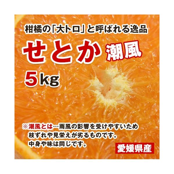 【発売日：2026年03月05日】「せとか」は食感・甘さ・食べやすさを3種の品種から良いところ取りの掛け合わせで生まれた新品種です。トロリとろける食感、濃厚な味わい、みずみずしいオレンジの香りと、文句なしの美味しさ！非常に薄い皮に包まれた実...