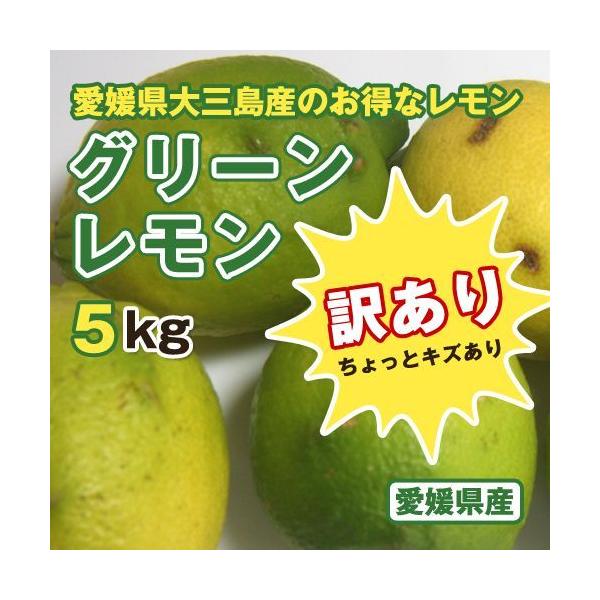 【発売日：2025年11月02日】美肌効果がありシミ、ソバカスなどのお肌のトラブルを防ぎます。また、肝臓の働きを助けるので二日酔いの朝にいいでしょう。料理にも良く使われるのはお馴染ですね。実だけでなく皮にも使い道があります。お風呂上りに皮で...
