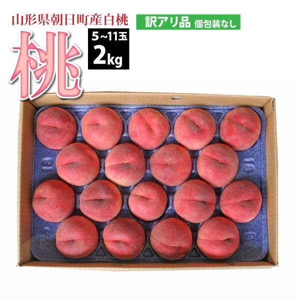 【発売日：2026年08月10日】※産地直送の為、他の商品と同梱する事が出来ません。ご了承いただきますようお願いいたします。※ご注文状況・収穫状況により、商品は順次発送となりますので、 到着日指定はお受け致しかねます。※送料無料の商品ですが...
