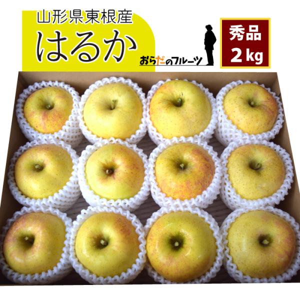 【発売日：2026年01月07日】※産地直送の為、他の商品と同梱する事が出来ませんので、ご了承いただきますようお願いいたします。※ご注文状況・収穫状況により、商品は順次発送となりますので、 到着日指定はお受け致しかねます。※送料無料の商品で...