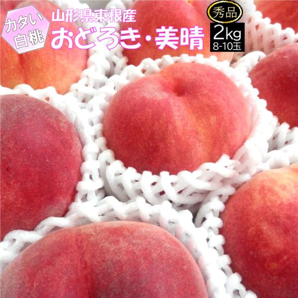 【発売日：2026年09月10日】硬いことで有名な品種2種どちらかを発送いたします。追熟しても柔らかくならず、カリッとした食感が楽しめます。りんご等と比較される硬さです。※産地直送の為他の商品と同梱する事が出来ません。※商品は順次発送となり...
