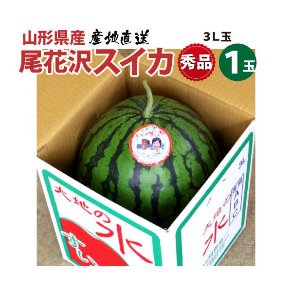 【発売日：2026年08月31日】ご注意努力は致しますが、期日を頂いても到着指定は承れません。希望の日時まで届かなかったときにキャンセルの連絡を頂いた場合、生産者の元に伝票がございます。シーズン中は多忙のため、対応行き届かない可能性ございま...