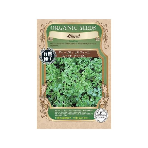 チャービル セルフィーユ カールドチャービル 種 ハーブ オーガニック 有機種子 固定種レースのような細かい葉、アニスに似た甘い風味です。オムレツ等の卵料理、海鮮料理、スープなどの風味づけにおすすめです。●播種:3月〜6月、9月〜10月●内...