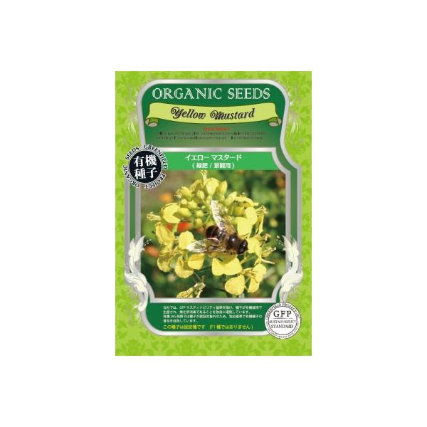 イエローマスタード 緑肥 景観用 種 オーガニック 固定種 有機種子緑肥・観賞用として最適です。種まき時期が非常に長く便利ですが、耐霜性ではありません。草丈は1mほどまで成長します。収穫せずにそのまま田畑にすきこめば、緑肥になります。黄色い...