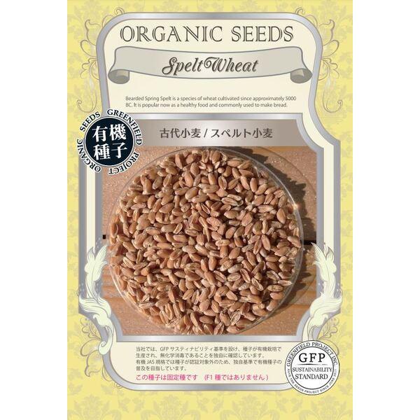 小麦 種 古代小麦 スペルト小麦 有機種子 固定種 中袋70g古くから続く小麦の原種「古代小麦/スペルト小麦」。殻が固く、農薬なしでも栽培しやすい小麦です。収穫後は、穂を乾燥させてリースにしたり、ドライフラワーなどと一緒に束ねてスワッグにし...