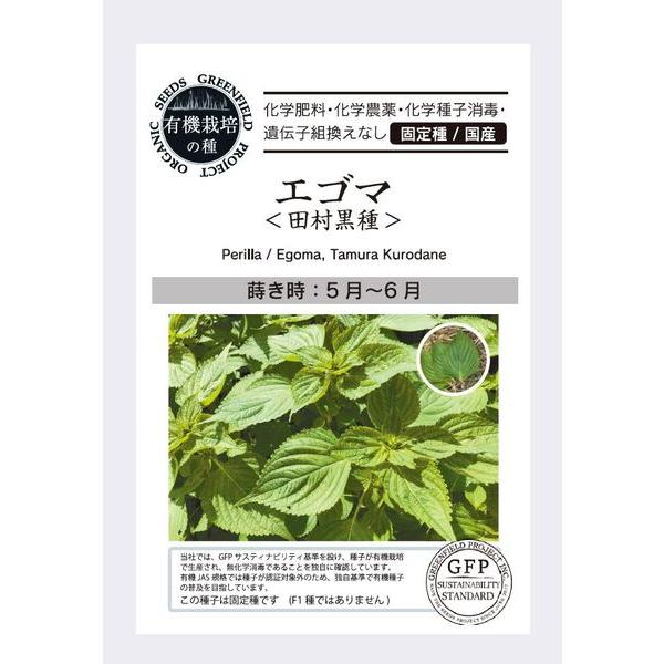 えごま エゴマ 種 田村黒種 オーガニック 有機種子 固定種田村黒種は、福島県の伝統品種。一時は絶滅しかかった希少な品種です。「食べると十年長生きする」という言い伝えがあるので、会津地方では「じゅうねん」とも呼ばれるエゴマ。免疫力アップや抗...