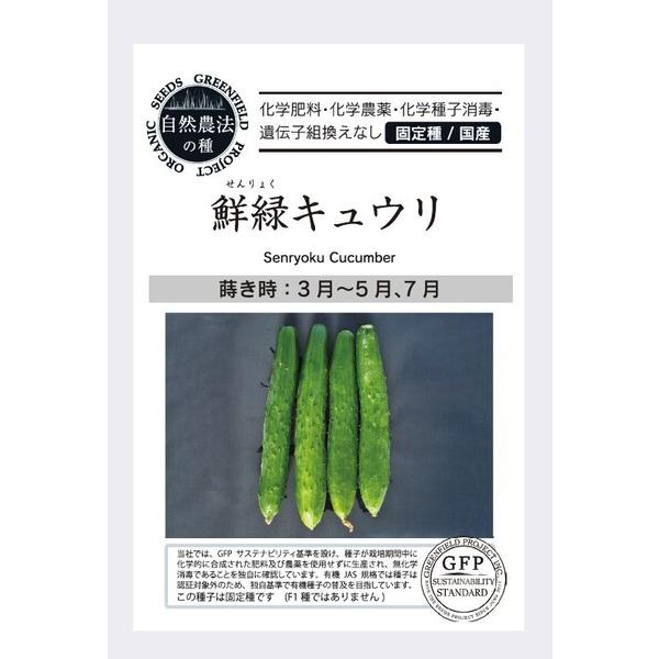 【発売日：2020年03月09日】キュウリ きゅうり 種 鮮緑キュウリ オーガニック 自然農法 自然栽培 固定種果実は鮮やかな緑色で曲がり少なく、果長は20cm前後。高温に強い品種です。生でそのままかじるも良し、サラダに混ぜても、歯切れ良い...