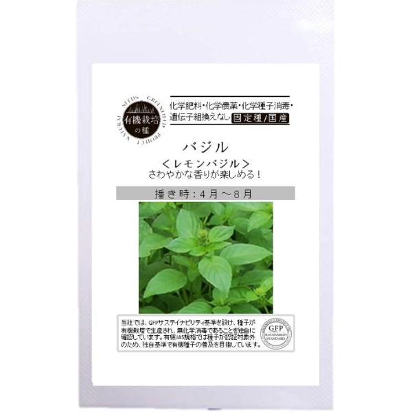 ハーブ 種 レモンバジル オーガニック 有機栽培の種 固定種 国産レモンのさわやかな香りが楽しめるバジル。葉だけでなく穂の部分も食べられます。爽やかなレモンの香りは、こってりとした料理にとてもよく合います。●播き時：4月〜8月直播かポットで...