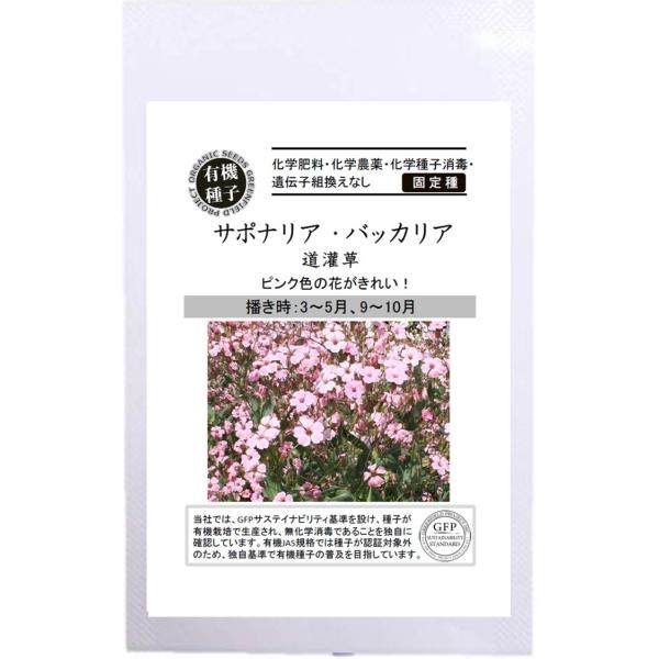 花の種 サポナリア バッカリア 道灌草 ハーブ オーガニック 有機種子 固定種カスミソウに似た草姿で、草丈は50〜80cm程度です。種まきから2ヶ月程度からピンク色の一重の花がたくさん咲きます。乾燥に強く、やせた土でも育ちます。観賞用として...