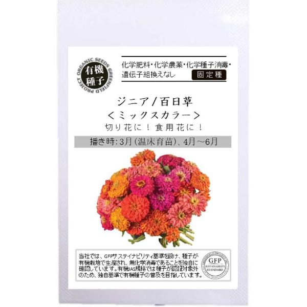 ジニア 百日草 種 ミックスカラー ハーブ オーガニック 有機種子 固定種色のバランスの良いジニアミックスです。二重、半二重の花をたくさんつけ、長い間楽しめます。切り花や花壇にぴったりです。エディブルフラワーとしてケーキやサラダに飾ってもき...