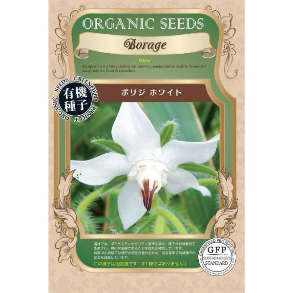 ハーブ ボリジ ホワイト 種 オーガニック 有機種子 固定種白色の花とキュウリのような香りの葉が特徴の、背丈30〜80cm程の大株に育つ一年草のハーブです。房なりの白い花は綺麗な星形でガーデンで観賞用としても楽しめ、大変育てやすいハーブです...